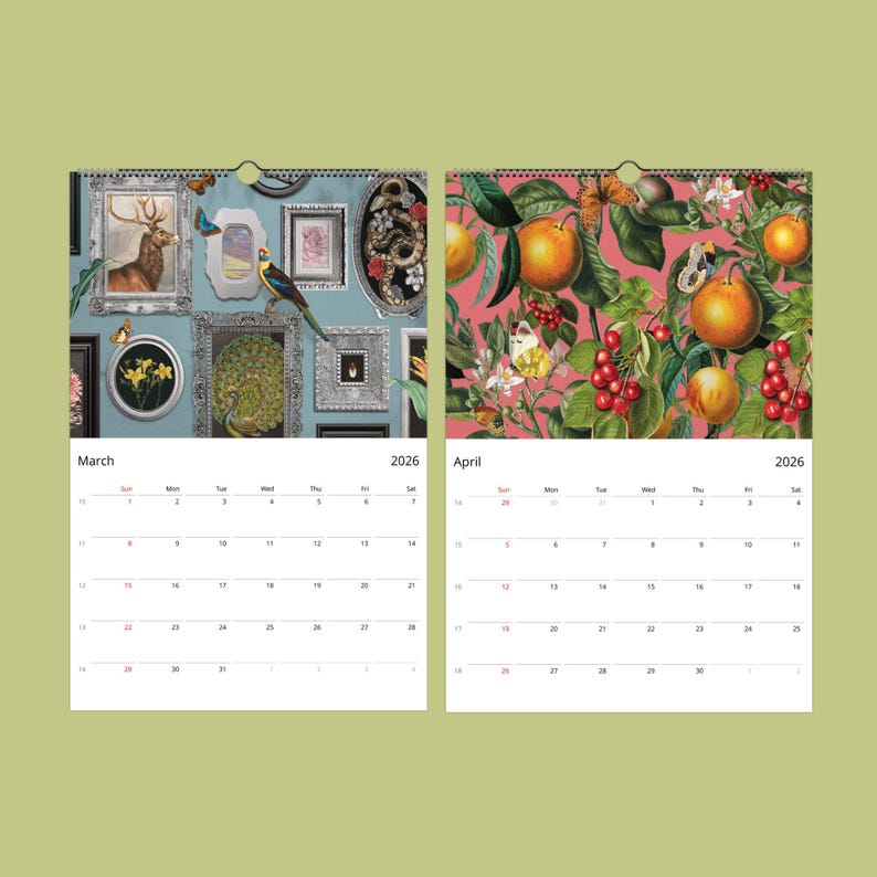 Wildlife Wall Calendar – Nature Habitat, Safari Animals, Semi-glossy ...