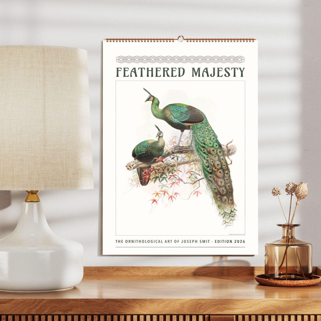 Feathered Majesty Wall Calendar – Vintage Bird Prints, Ornithology Art ...
