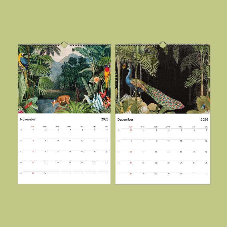 Wildlife Wall Calendar – Nature Habitat, Safari Animals, Semi-glossy ...