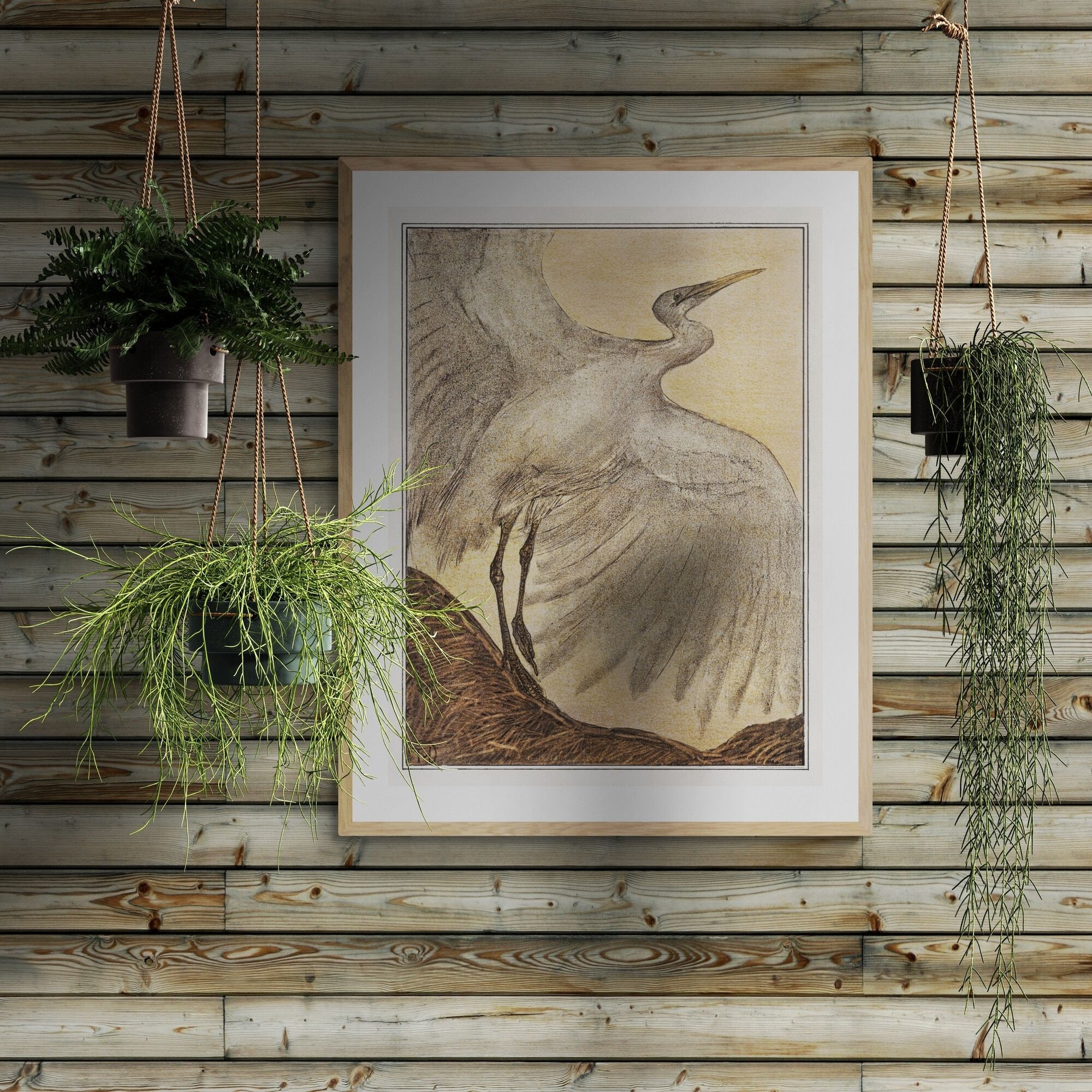 Theo Van Hoytema's Silver Heron Art Nouveau Poster, Bird Sketch and ...