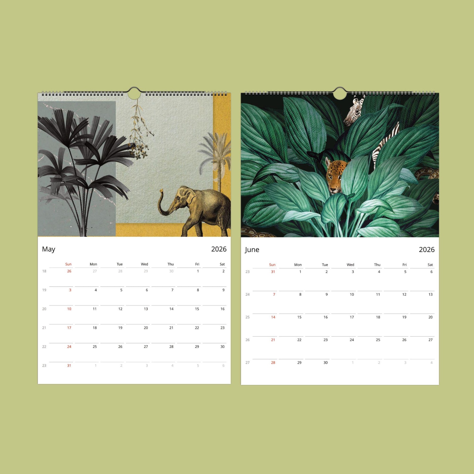 Wildlife Wall Calendar – Nature Habitat, Safari Animals, Semi-glossy ...