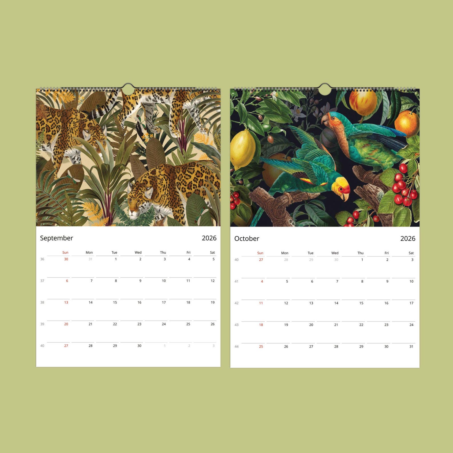 Wildlife Wall Calendar – Nature Habitat, Safari Animals, Semi-glossy ...