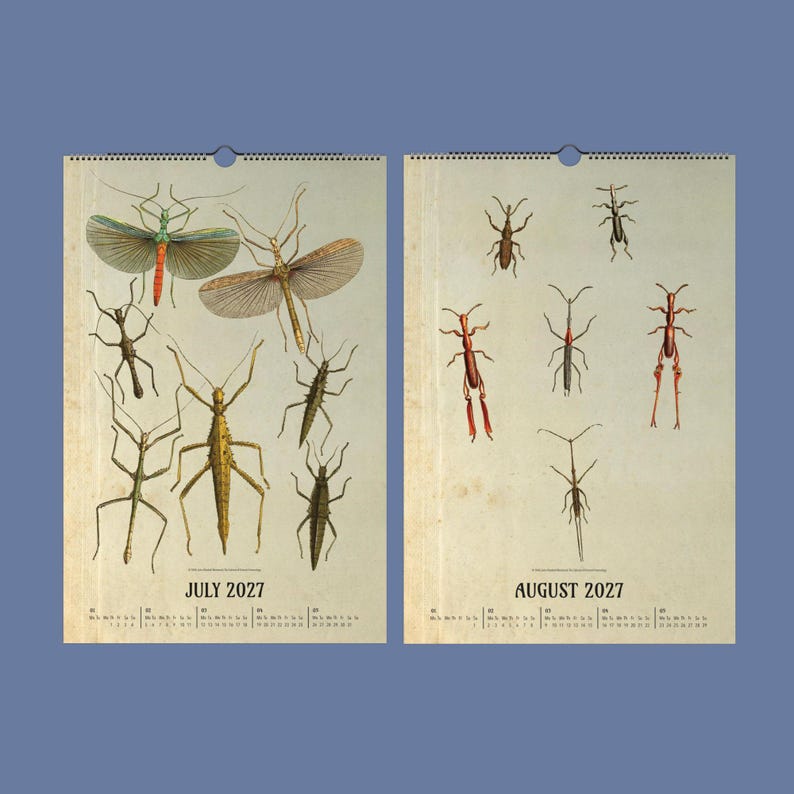 Victorian Bug Art Wall Calendar - Entomologist Gift, John Obadiah ...