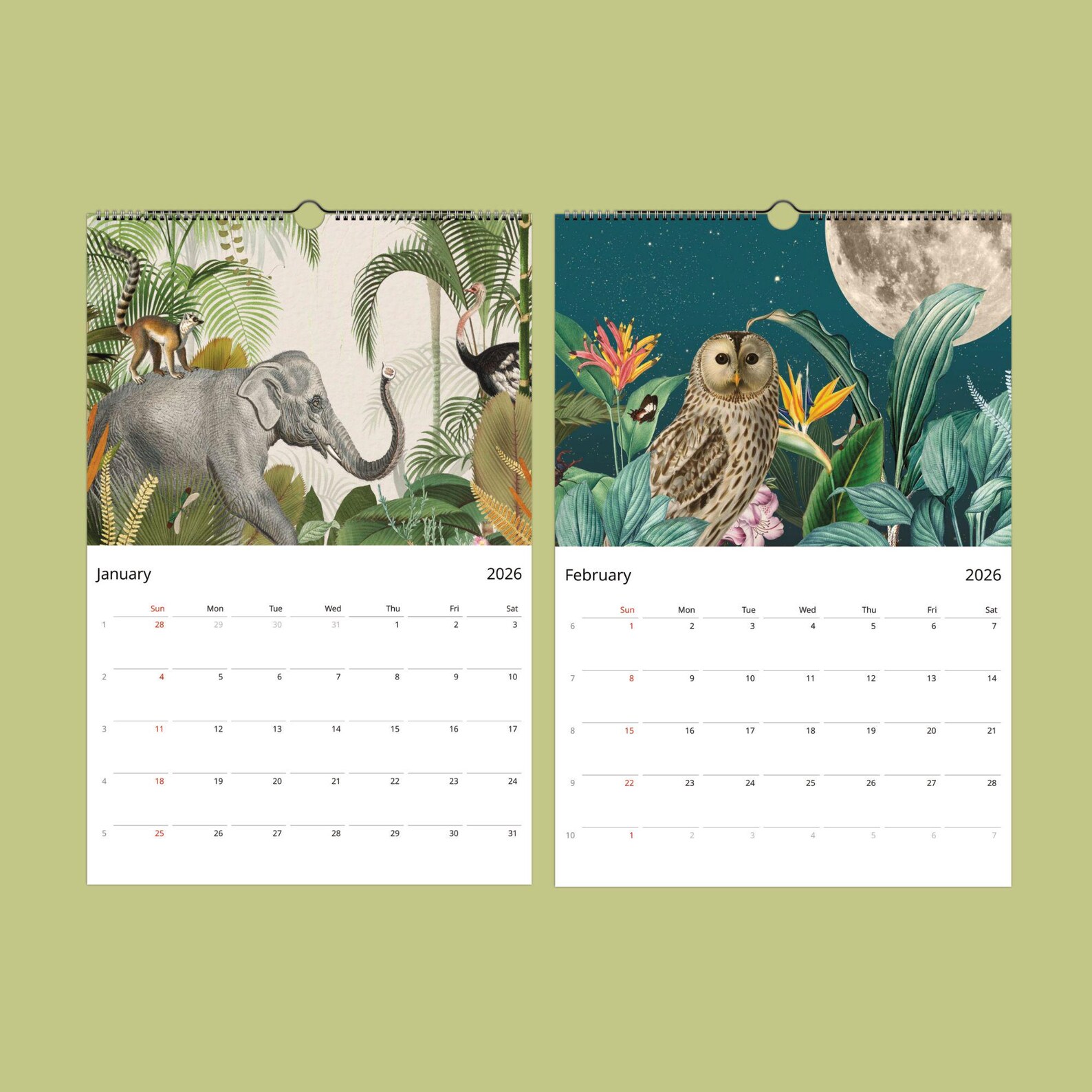 Wildlife Wall Calendar – Nature Habitat, Safari Animals, Semi-glossy ...