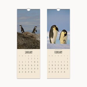 Penguin Wonders Wall Calendar – Adorable Penguin Art, Perfect Calendar ...