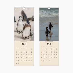 Penguin Wonders Wall Calendar – Adorable Penguin Art, Perfect Calendar ...
