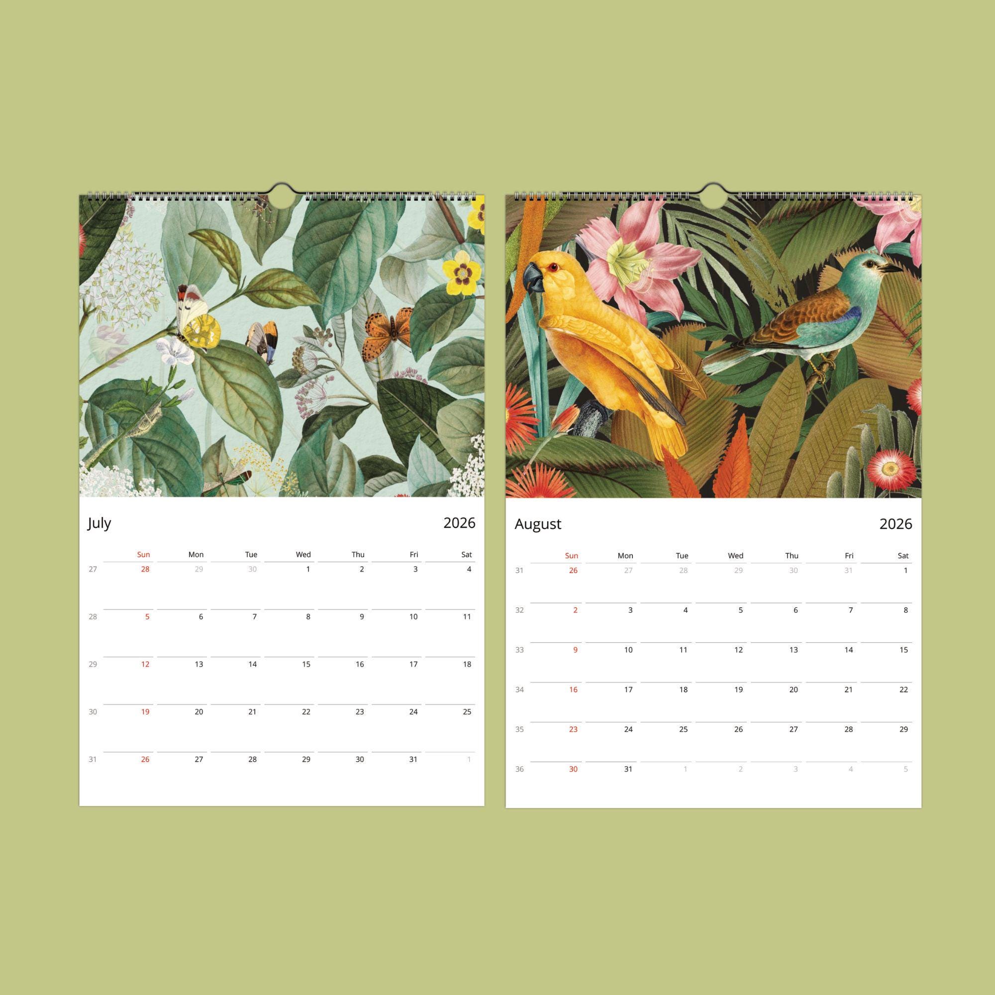 Wildlife Wall Calendar – Nature Habitat, Safari Animals, Semi-glossy ...