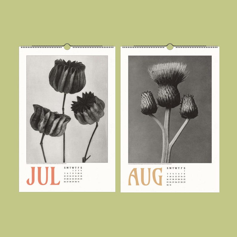Karl Blossfeldt Wall Calendar – Urformen Der Kunst, Nature Photography ...