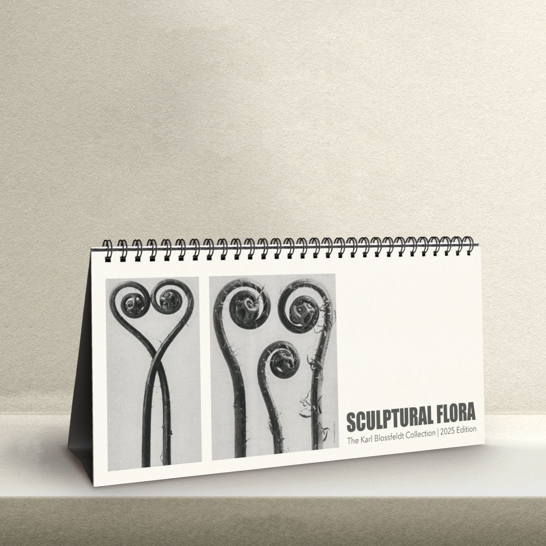 Karl Blossfeldt Desk Calendar Nature Photography Spiral-bound Monthly ...