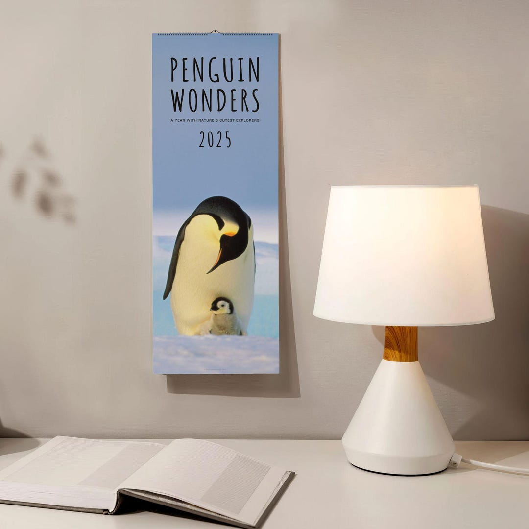 Penguin Wonders Wall Calendar – Adorable Penguin Art, Perfect Calendar ...