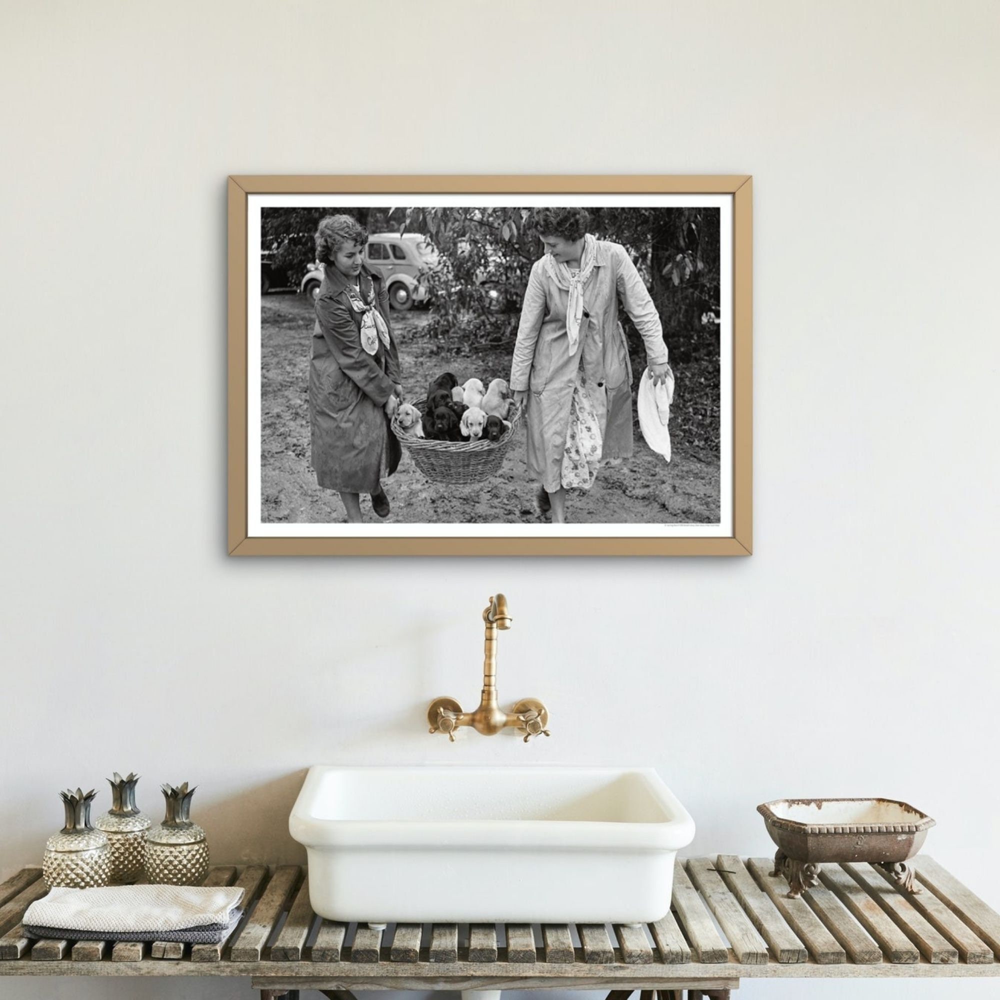 The Whimsy World of Wiggly, Waggly Puppies - Vintage Photographs - Etsy