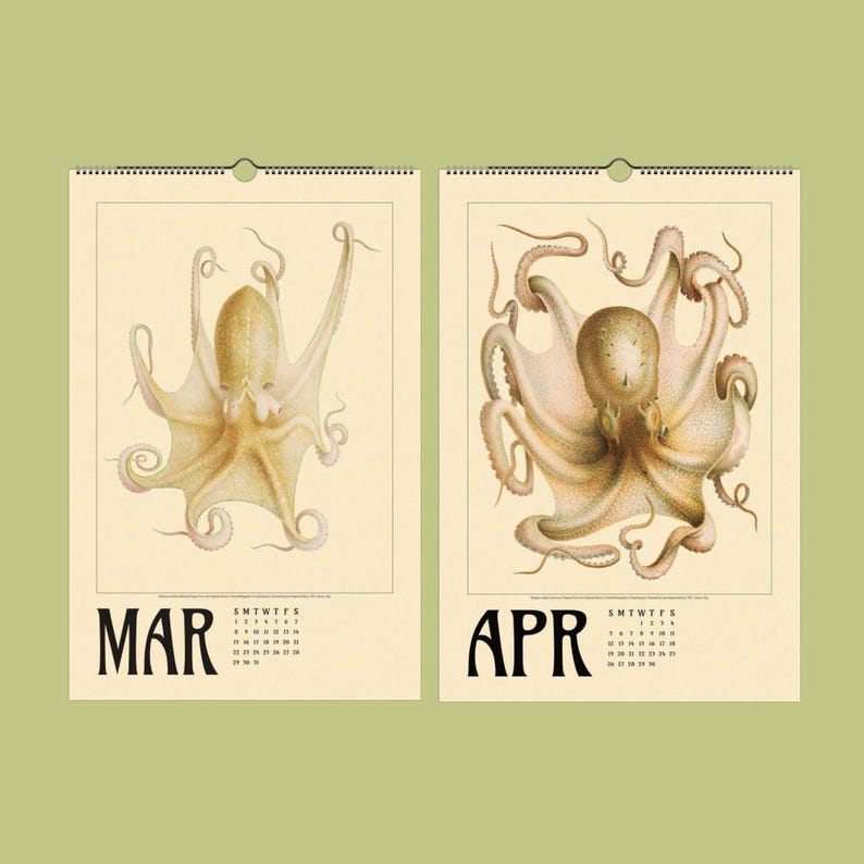 Cephalopod Wall Calendar - French Artist, Jean Baptiste Vérany, Octopus ...