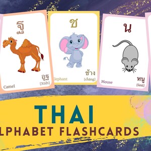 THAI Alphabet FLASHCARD With Picture, Learning THAI, Thai Letter ...