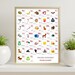 POLISH Alphabet POSTER Print With Words and English Translations ...