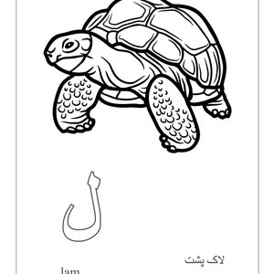 Persian /farsi Alphabet Coloring Pages 41 Pages, Printable Persian ...