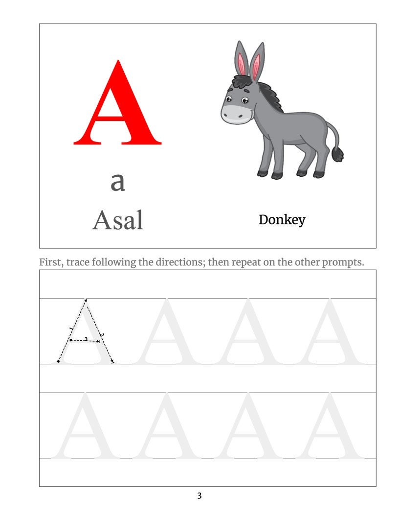 Irish Childrens Book irish English First 100 Words Picture Book, Irish ...