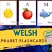 WELSH Alphabet FLASHCARD With Picture Learning WELSH Welsh - Etsy