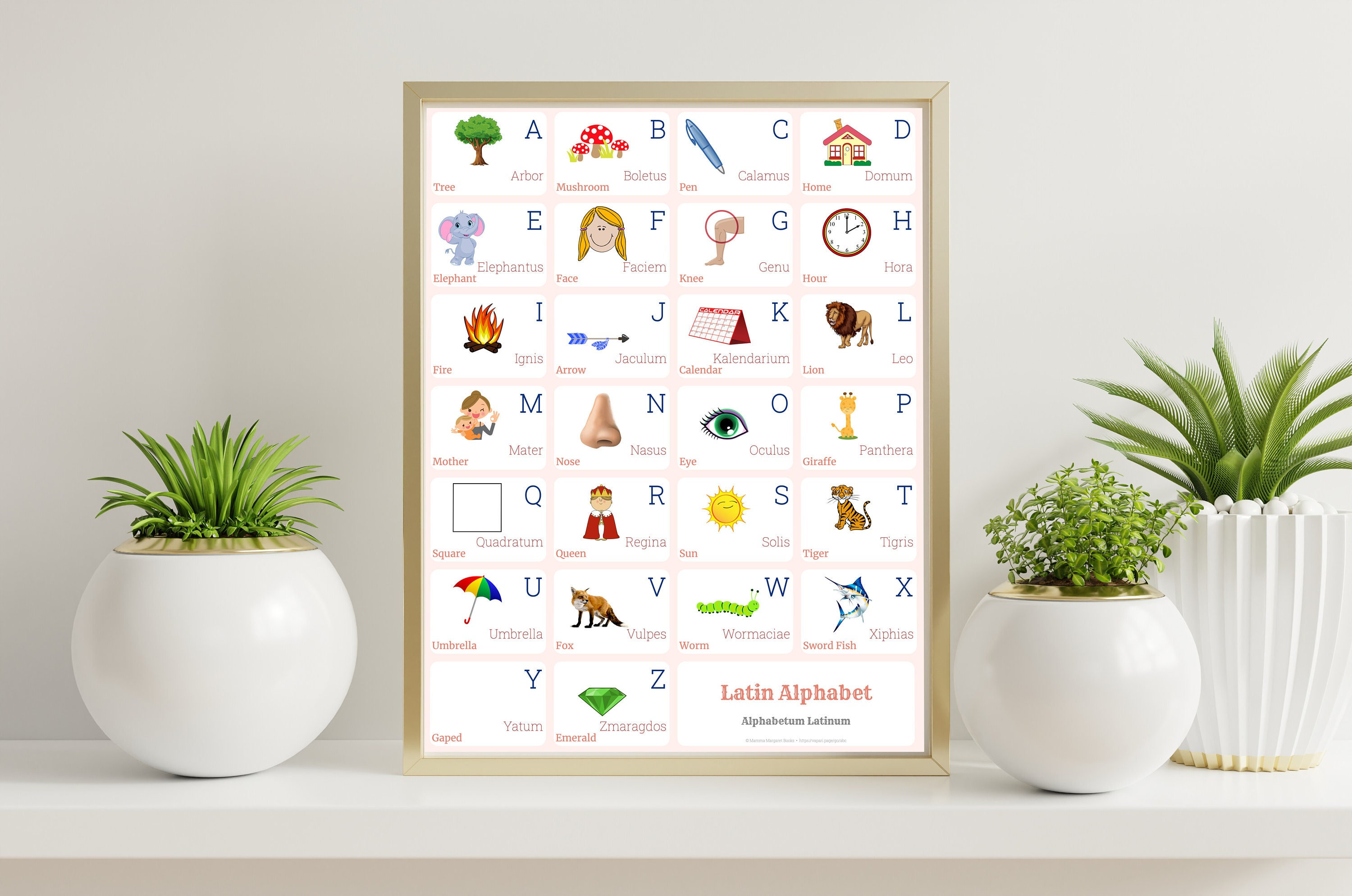 Latin Alphabet Chart