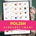 POLISH Alphabet CHART With Words and English Translations Printable Art ...
