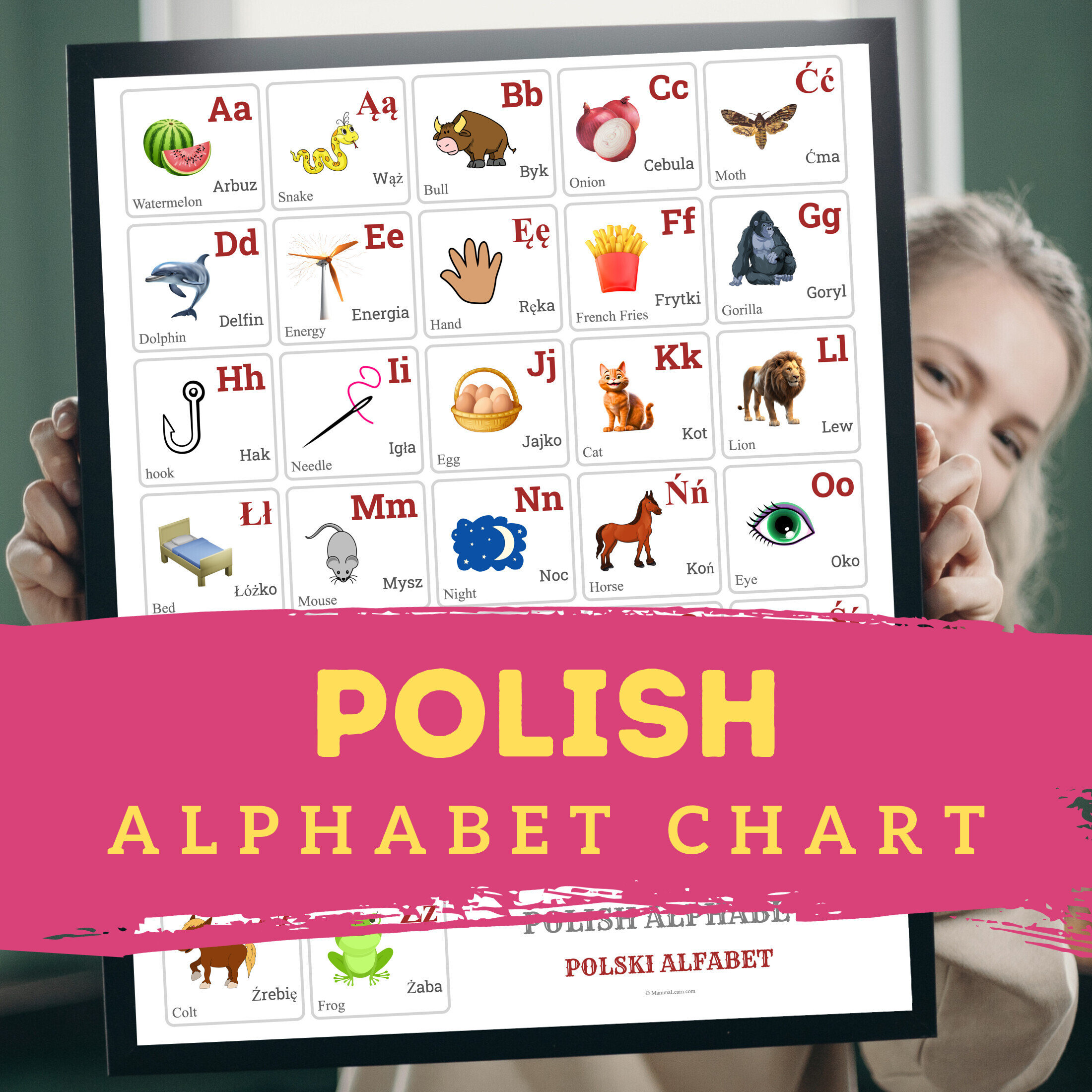 POLISH Alphabet CHART With Words and English Translations Printable Art ...