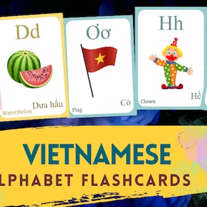 VIETNAMESE Alphabet FLASHCARD With Picture, Learning VIETNAMESE ...