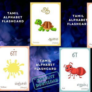 Tamil Alphabet FLASHCARD With Picture, Learning Tamil, Tamil Flashcard ...