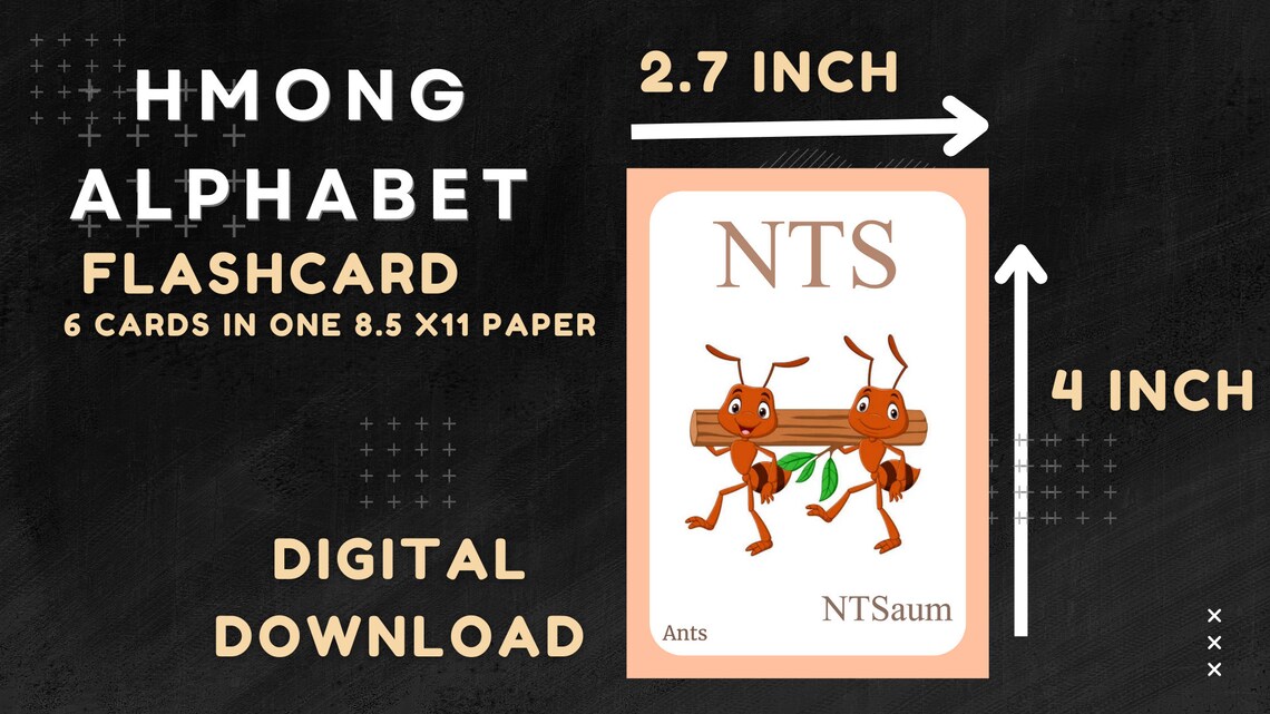 HMONG Alphabet FLASHCARD With Picture Learning Hmong Hmong - Etsy