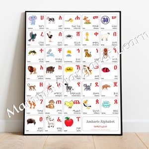 AMHARIC Alphabet CHART With Words and English Translations Printable ...