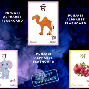 PUNJABI Alphabet FLASHCARD With Picture, Learning PUNJABI, Punjabi ...