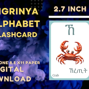 Tigrinya Alphabet FLASHCARD With Picture, Learning Tigrinya, Tigrinya ...