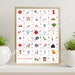URDU Alphabet CHART With Words and English Translations Printable Art ...