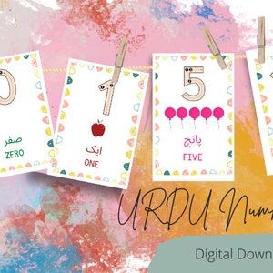 URDU Number Flashcard With Counts, Urdu and English Translation ...