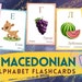 MACEDONIAN Alphabet FLASHCARD With Picture, Learning Macedonian ...