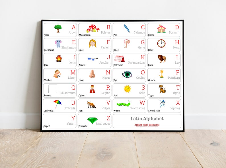 LATIN Alphabet CHART With Words and English Translations - Etsy