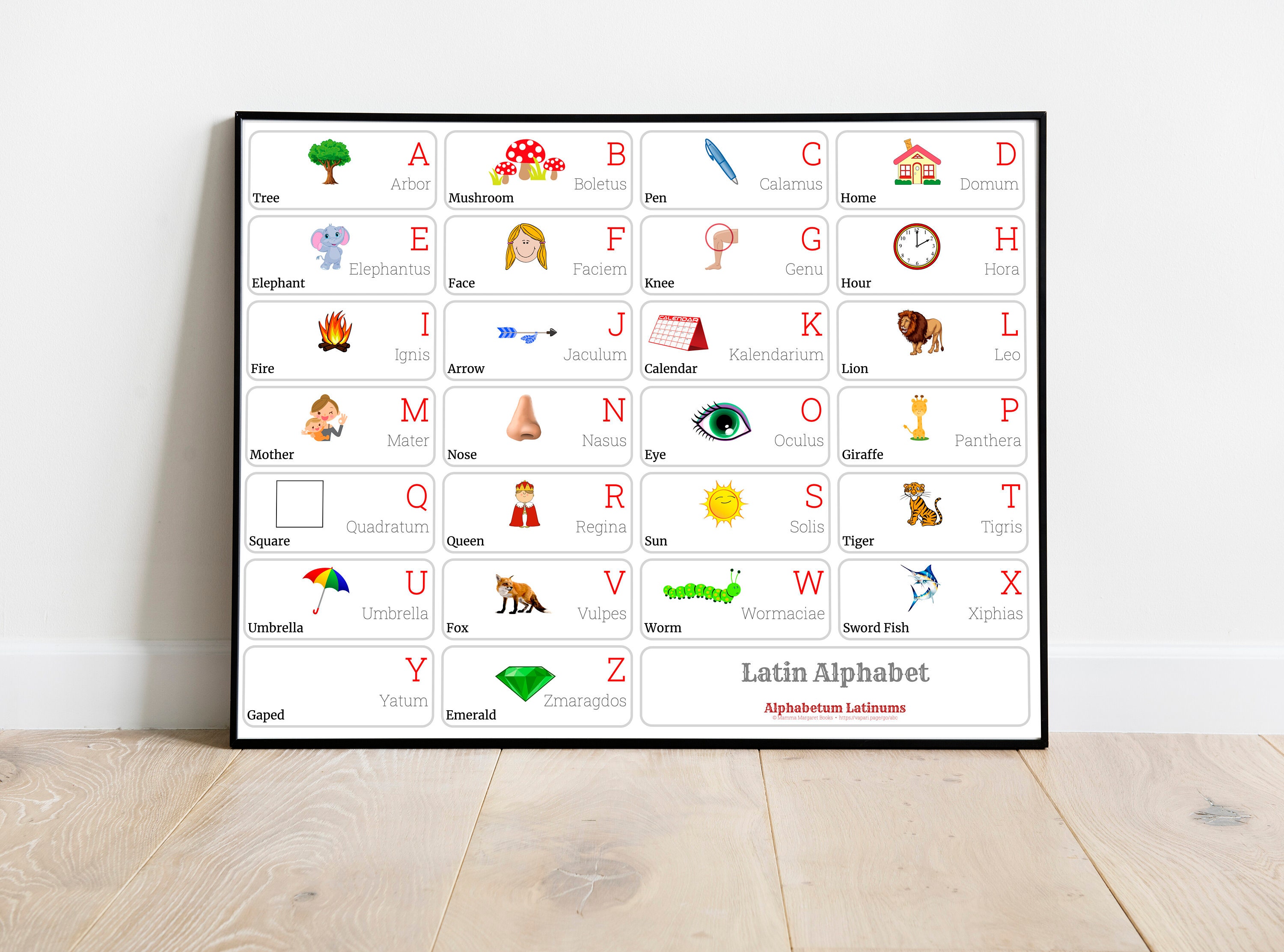 Latin Alphabet Chart