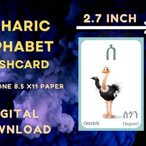 AMHARIC Alphabet FLASHCARD With Picture, Learning AMHARIC, Amhari ...