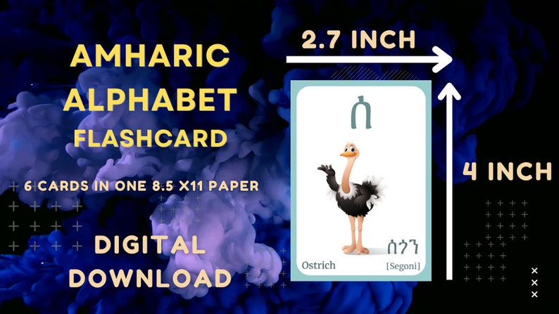 AMHARIC Alphabet FLASHCARD With Picture, Learning AMHARIC, Amhari ...