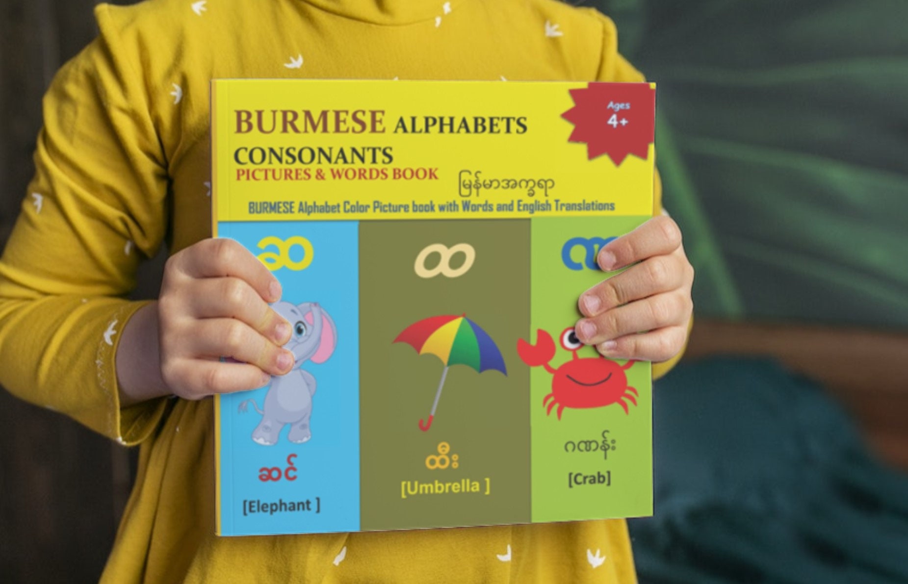 BURMESE Children's Book BURMESE Alphabet Picture Book, Learn to Write ...
