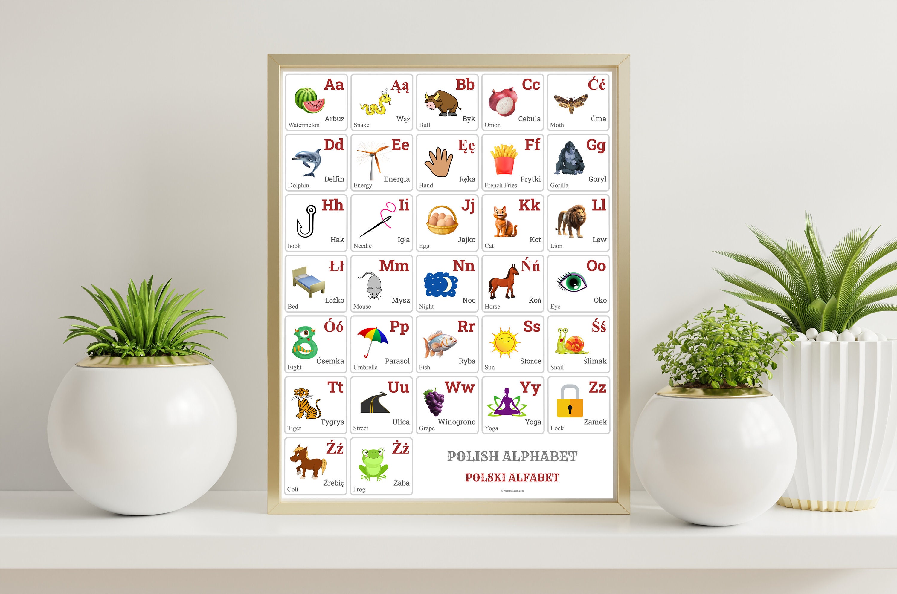 POLISH Alphabet CHART With Words and English Translations Printable Art ...