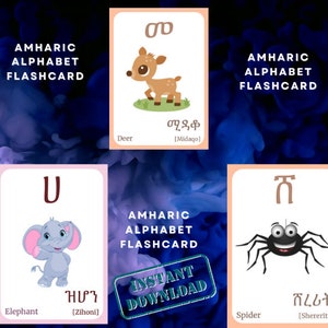 AMHARIC Alphabet FLASHCARD With Picture, Learning AMHARIC, Amhari ...