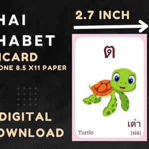 THAI Alphabet FLASHCARD With Picture, Learning THAI, Thai Letter ...