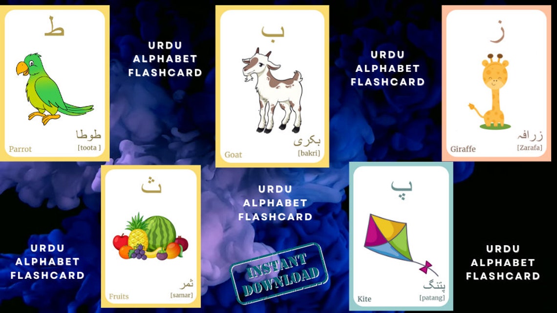 URDU Alphabet FLASHCARD With Picture, Learning URDU, Urdu Letter ...