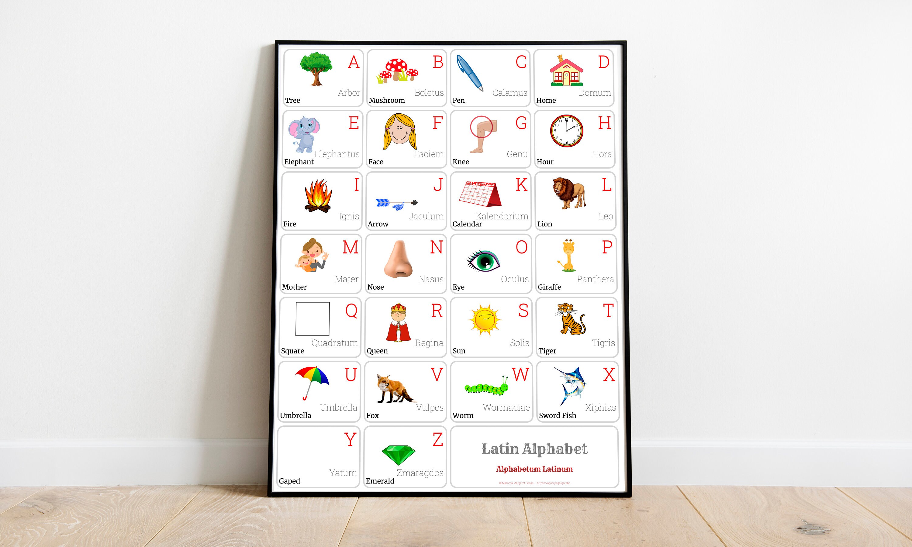 LATIN Alphabet CHART With Words and English Translations - Etsy