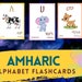 Amharic Alphabet Flashcards With Pictures, Language Learning (digital ...