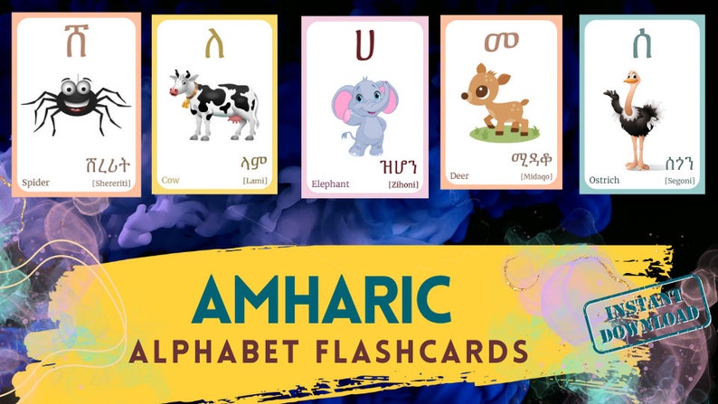 AMHARIC Alphabet FLASHCARD With Picture, Learning AMHARIC, Amhari ...