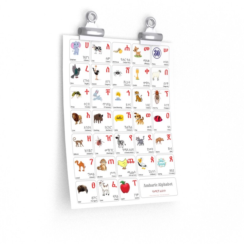 AMHARIC Alphabet POSTER Print With Words and English Translations ...