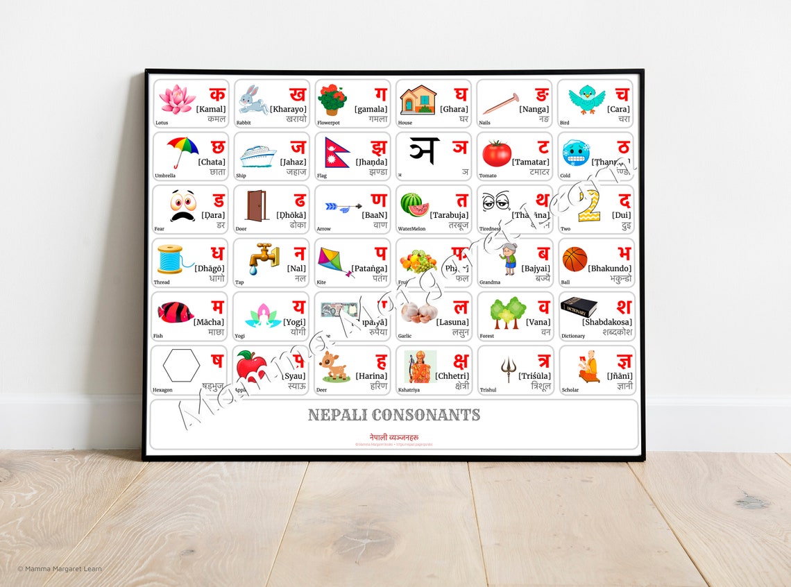 NEPALI Alphabet CHART NEPALI Vowels and Nepali Consonants - Etsy UK