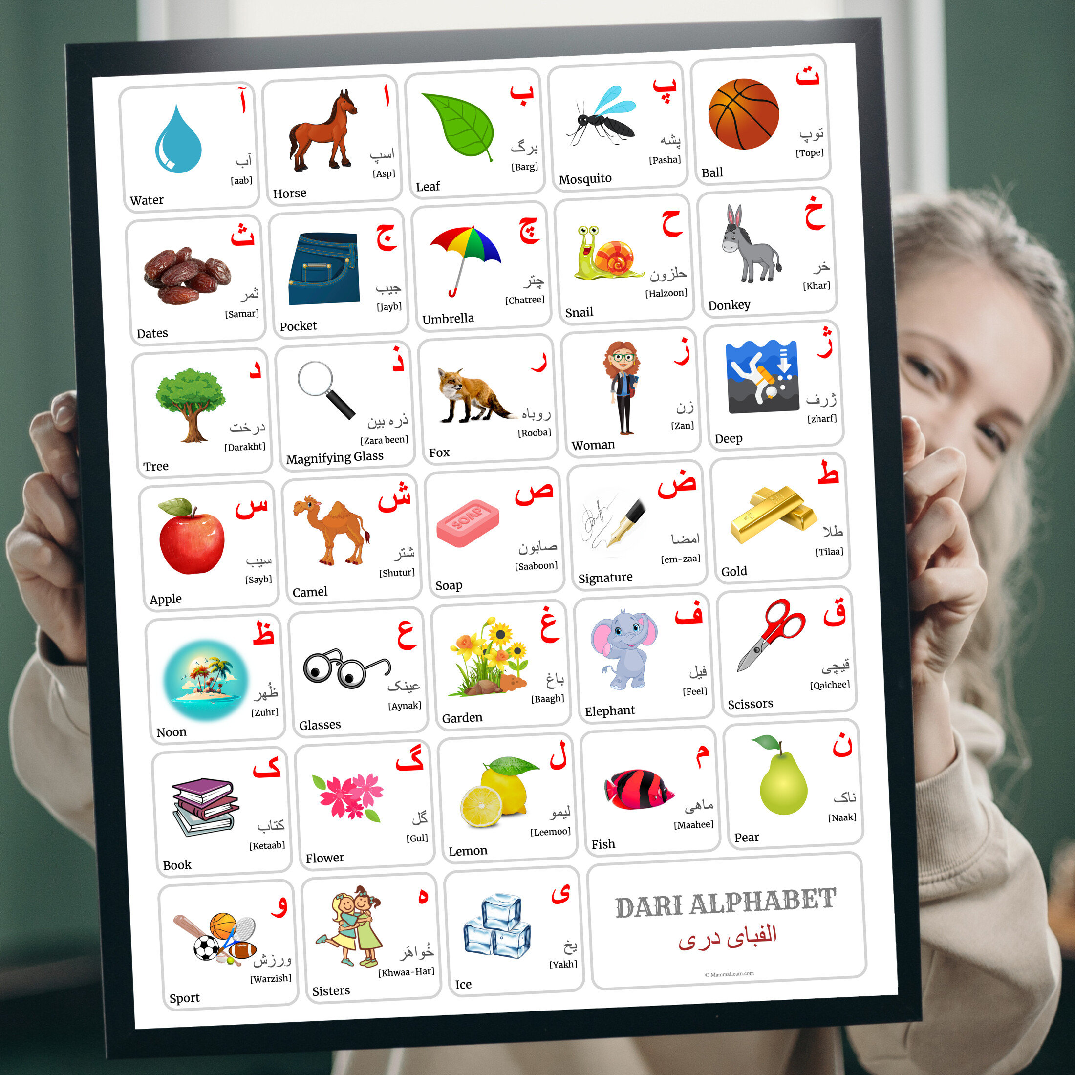 DARI ALPHABET CHART Print, Dari Alphabet Poster With Words and English Translations, Alphabet ...