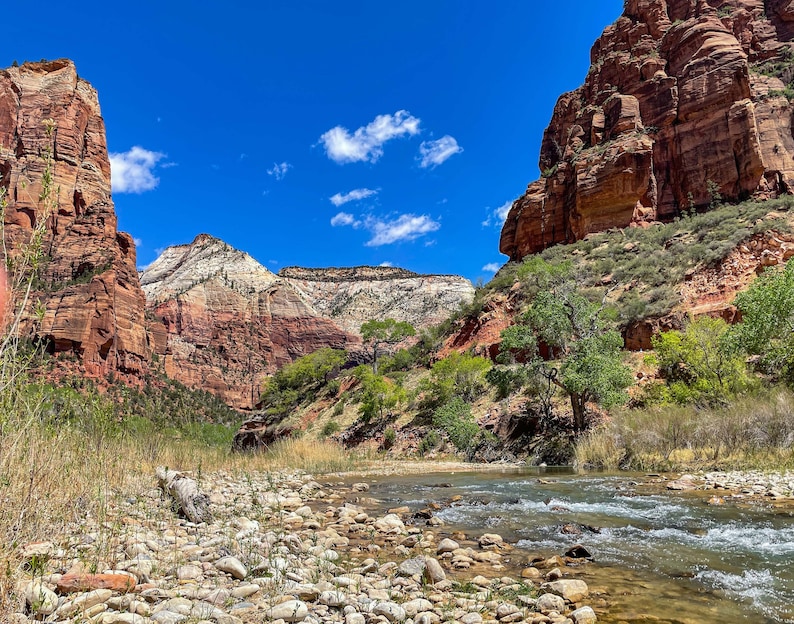 Zion Canyon River View - Photography Prints - Zion National Park ...