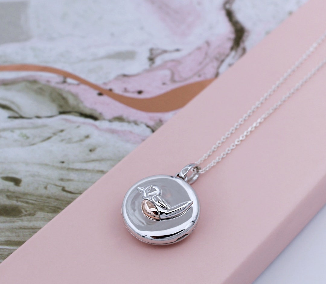Sterling Silver With Rose Gold Robin Redbreast Locket Necklace - Etsy